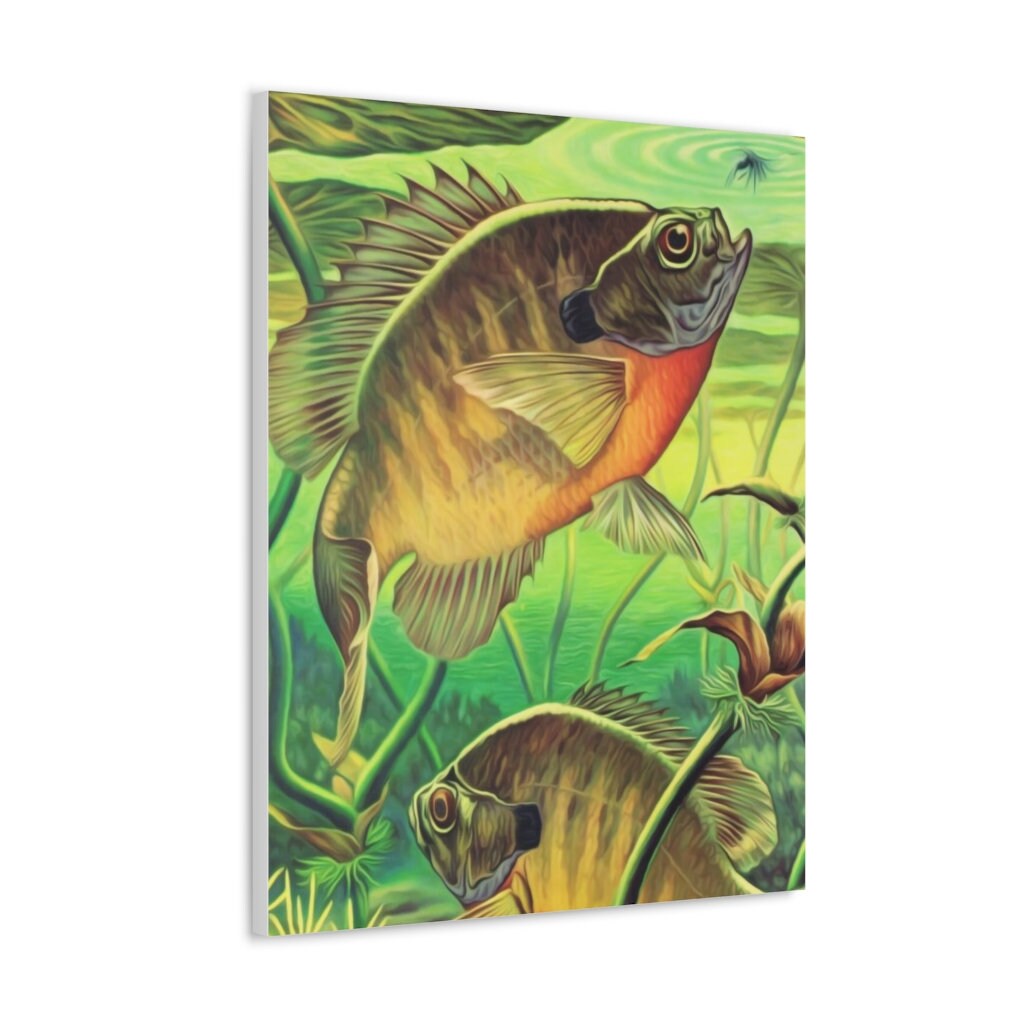 Bluegill Painting Art Canvas Gallery Wrap - Etsy