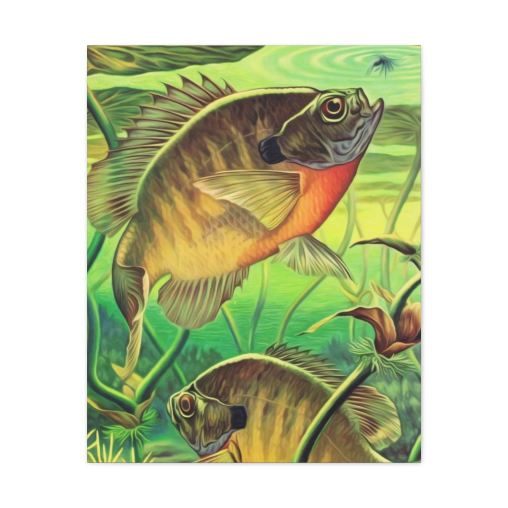 Bluegill Painting Art Canvas Gallery Wrap - Etsy