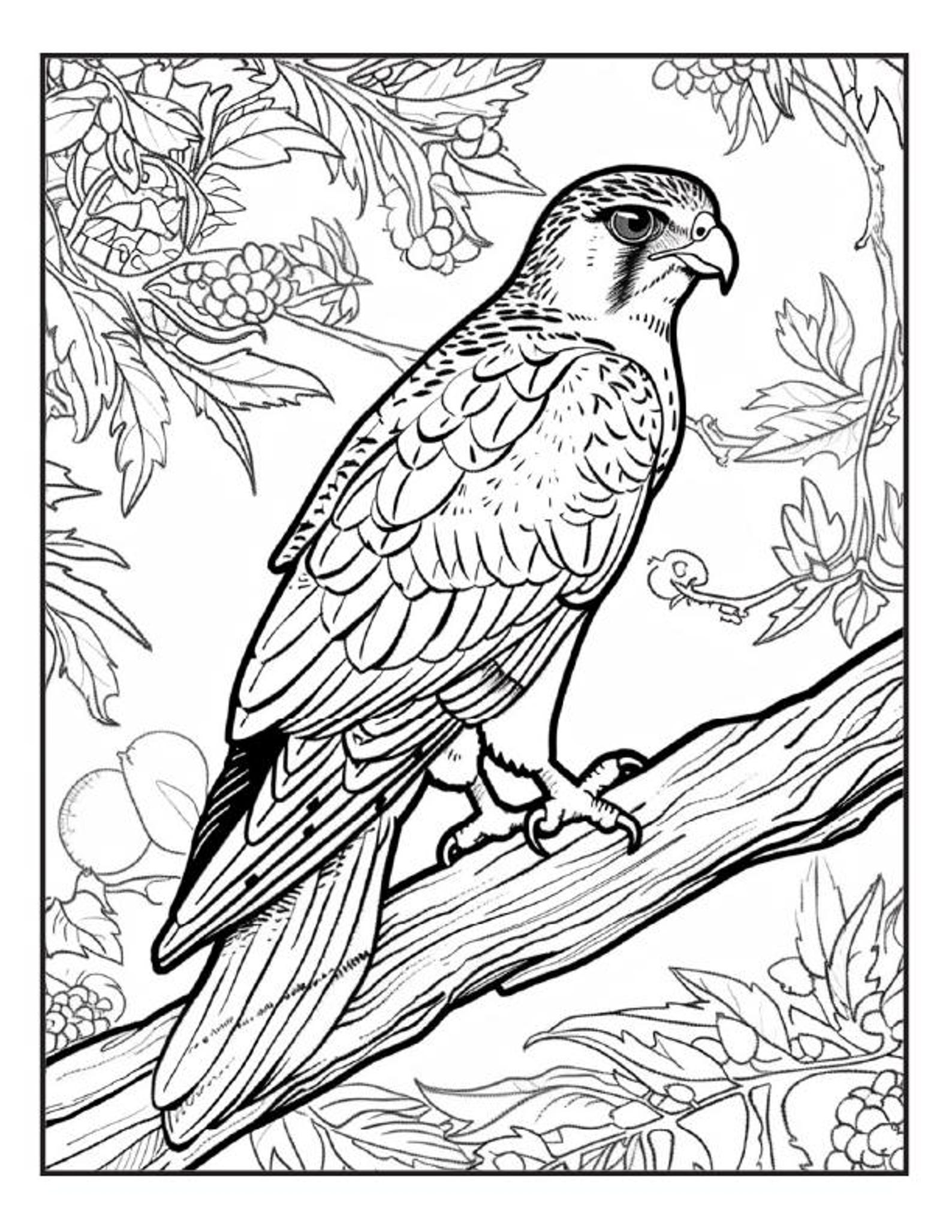 100 Falcon Coloring Pages in PDF Format for Kids – Fun, Creative, and ...