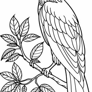 50 Crow Coloring Pages PDF for Adults and Kids, Detailed and Fun Crow ...