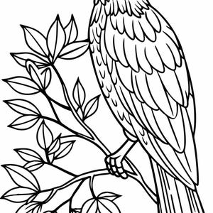 50 Crow Coloring Pages PDF for Adults and Kids, Detailed and Fun Crow ...