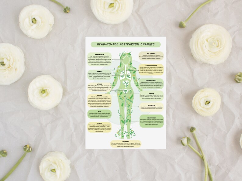 Postpartum Body Changes Handout: New Mom Guide (PDF Printable) - Etsy