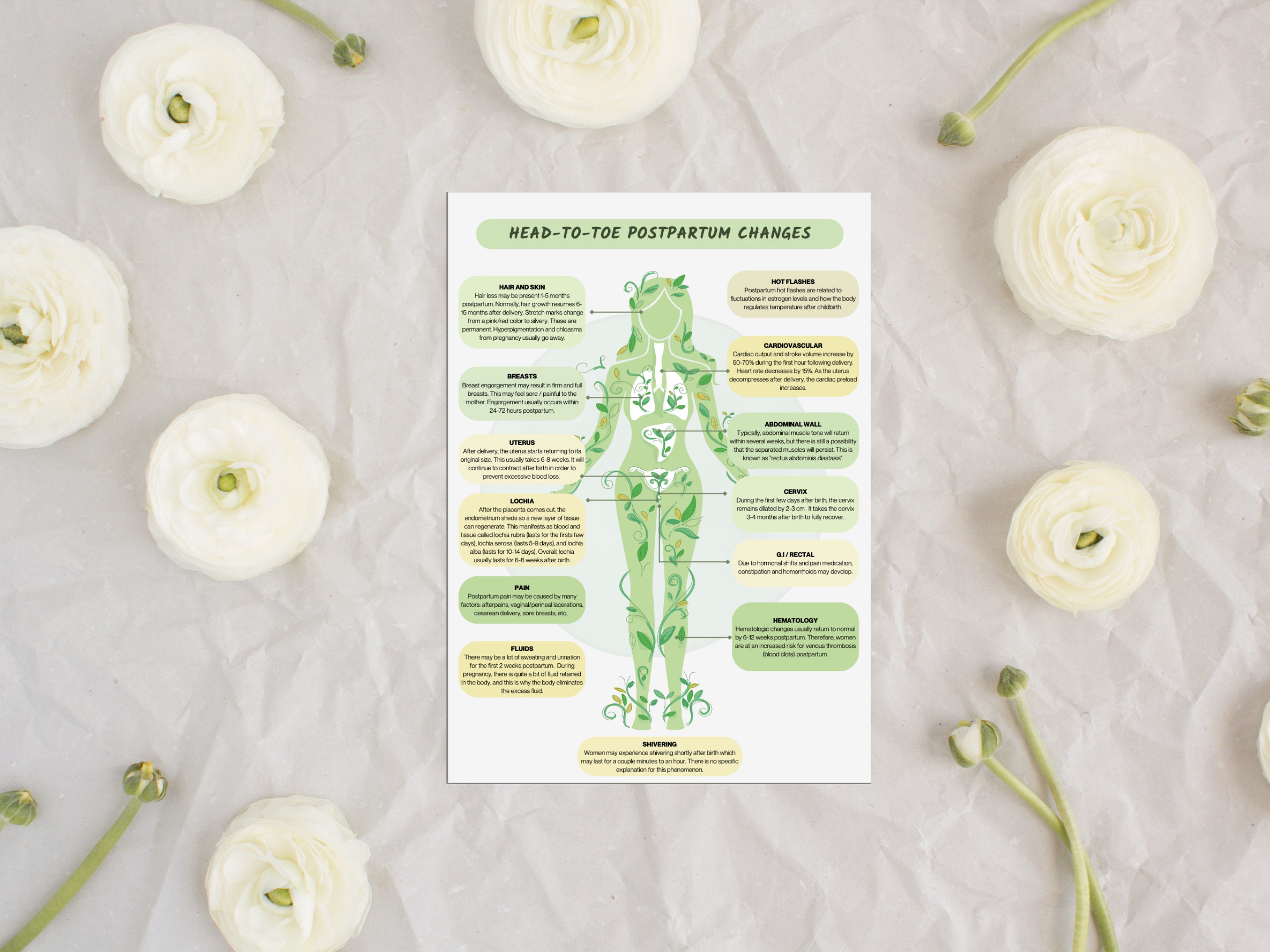 Postpartum Body Changes Handout | PDF Printable | Doula, Midwife, New ...