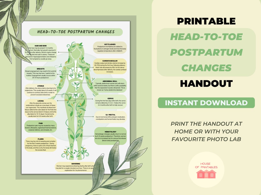 Postpartum Body Changes Handout | PDF Printable | Doula, Midwife, New ...