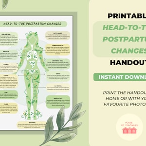 Postpartum Body Changes Handout | PDF Printable | Doula, Midwife, New ...