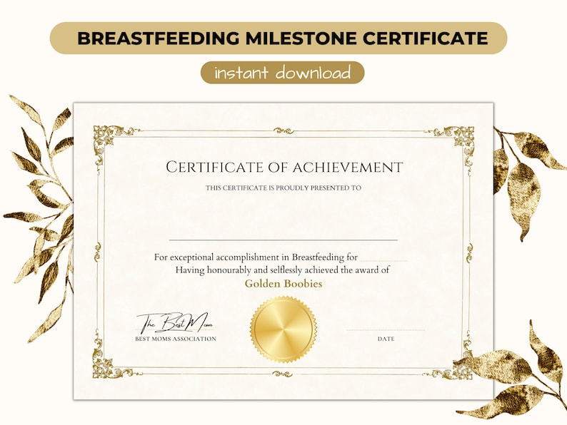 Breastfeeding Milestone Certificate: Mom Appreciation Gift (PDF) - Etsy