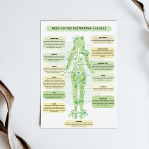Postpartum Body Changes Handout | PDF Printable | Doula, Midwife, New ...