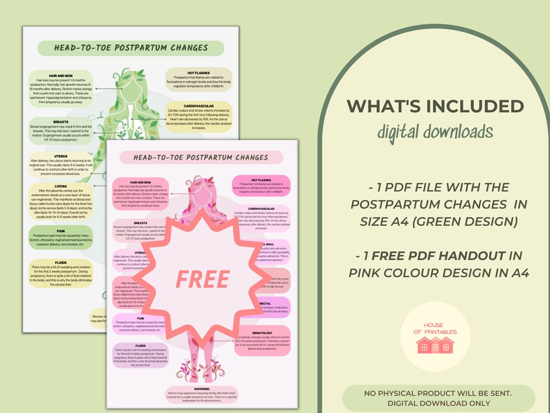 Postpartum Body Changes Handout PDF Printable Doula - Etsy