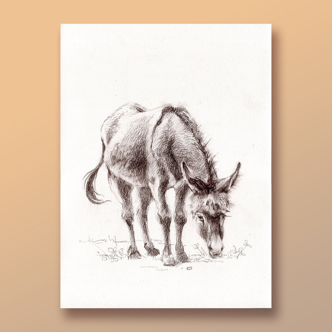 Burro. Original Pastel Drawing. Cute Donkey. Great for a Children's ...