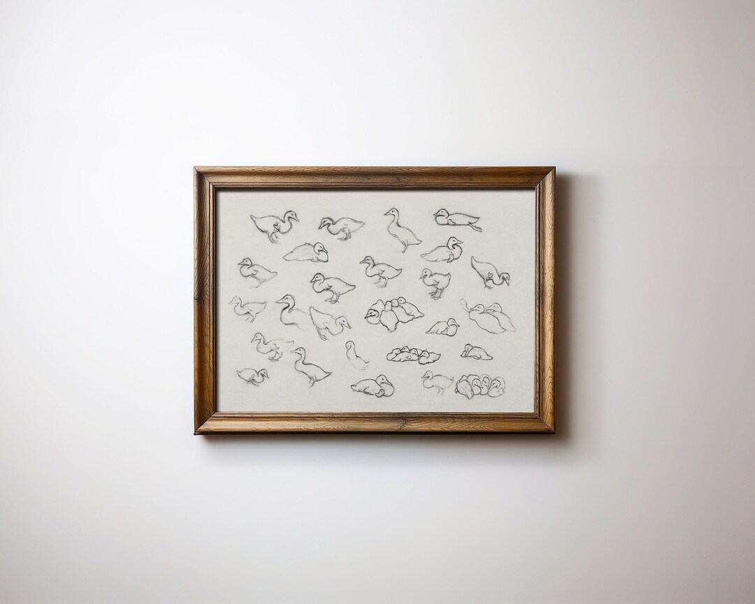 Sketch of Ducks Drawing, Antique Geese Print, Vintage Animal Painting ...