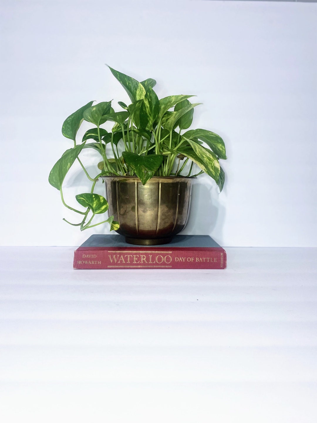 Vintage Waterloo Book | Vintage Napoleon Book | Decorative Book ...