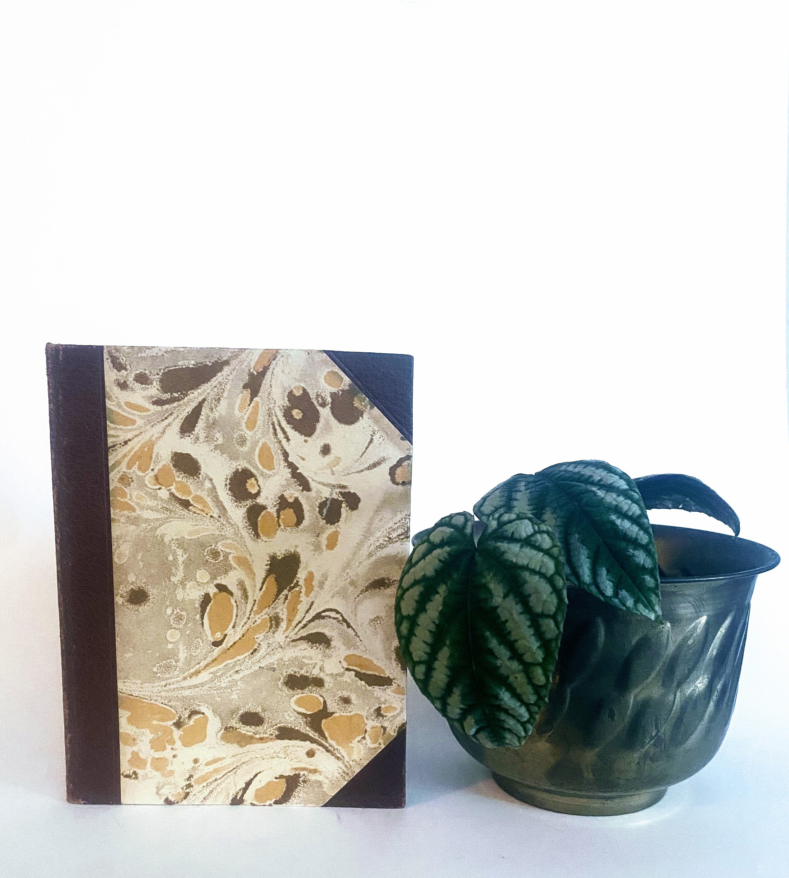 Dr Jekyll and Mr Hyde RL Stevenson Dr Jekyll Og Mr Hyde - Etsy