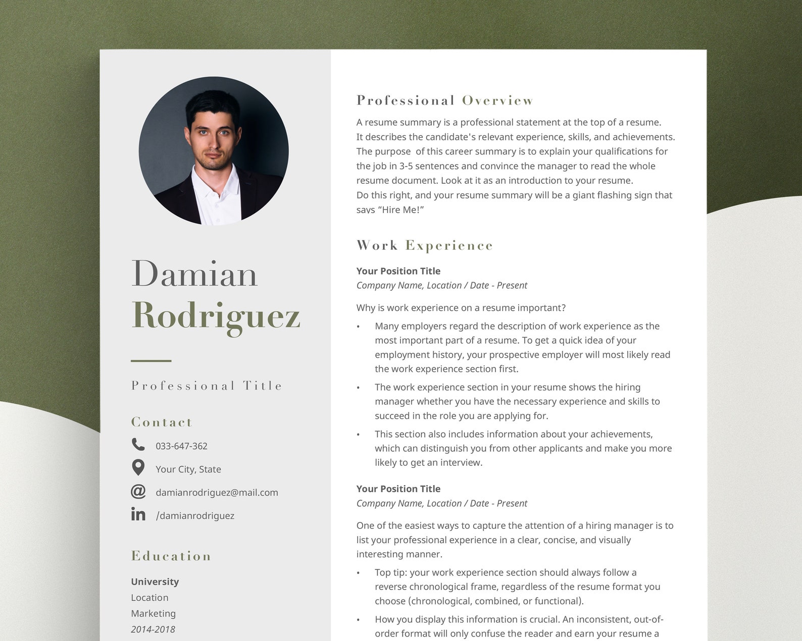 Modern Executive Resume Template Word, Resume Template Google Docs ...