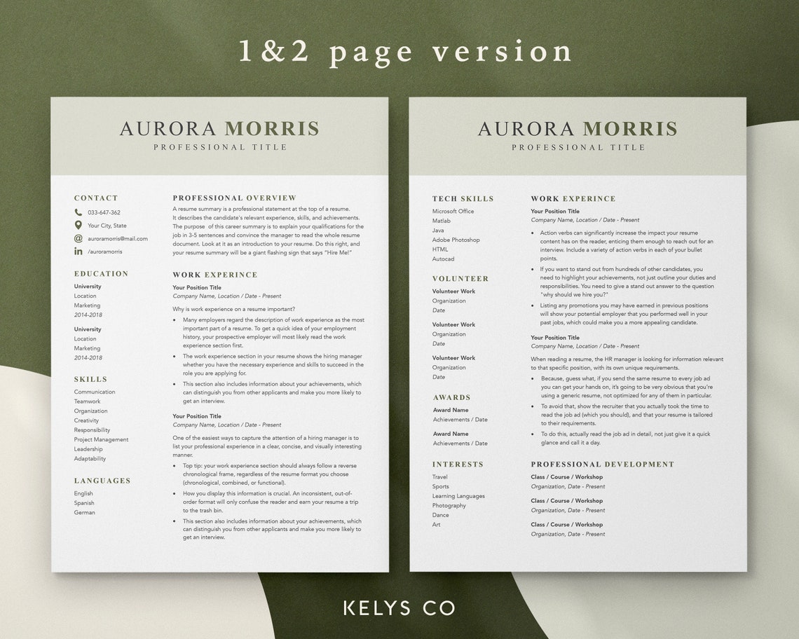 Modern Executive Resume Template Word, Resume Template Google Docs ...