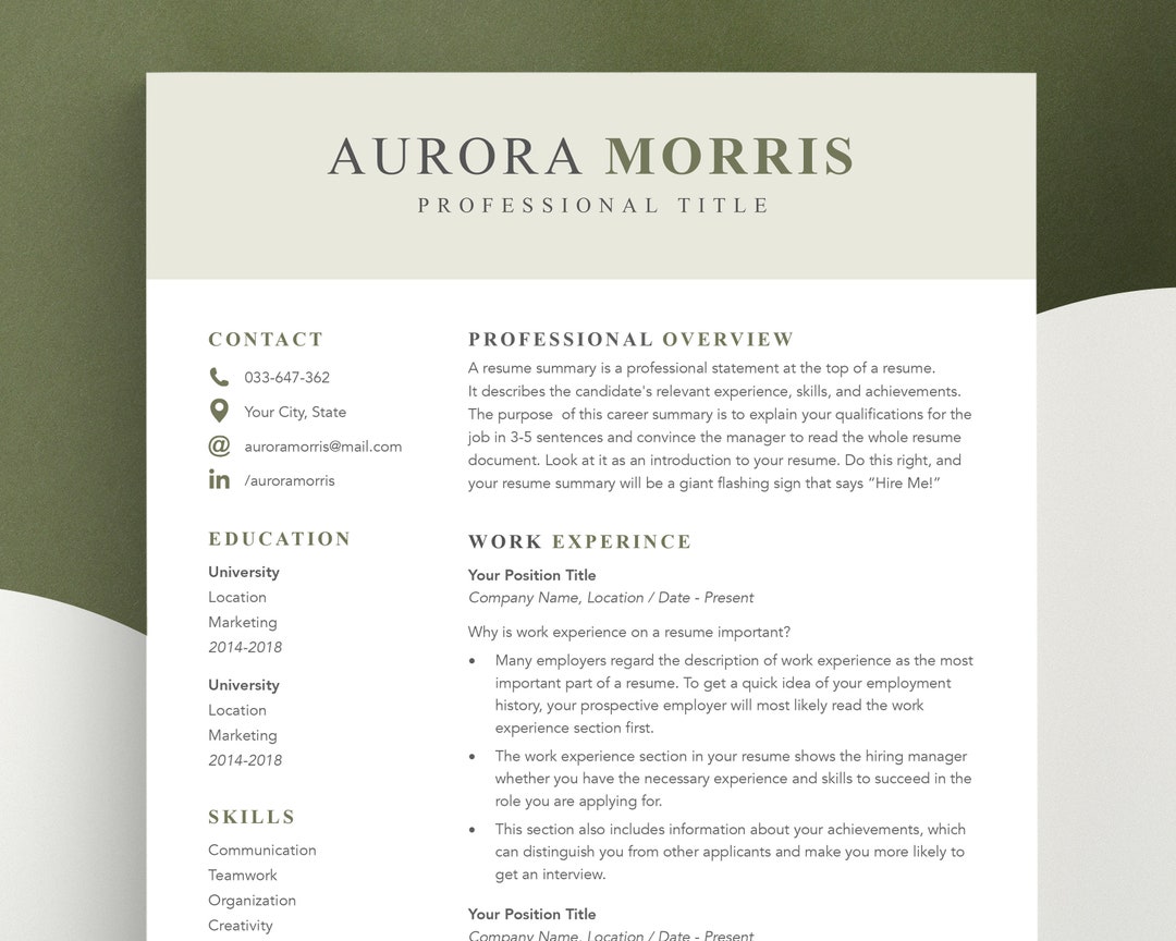 Modern Executive Resume Template Word, Resume Template Google Docs ...