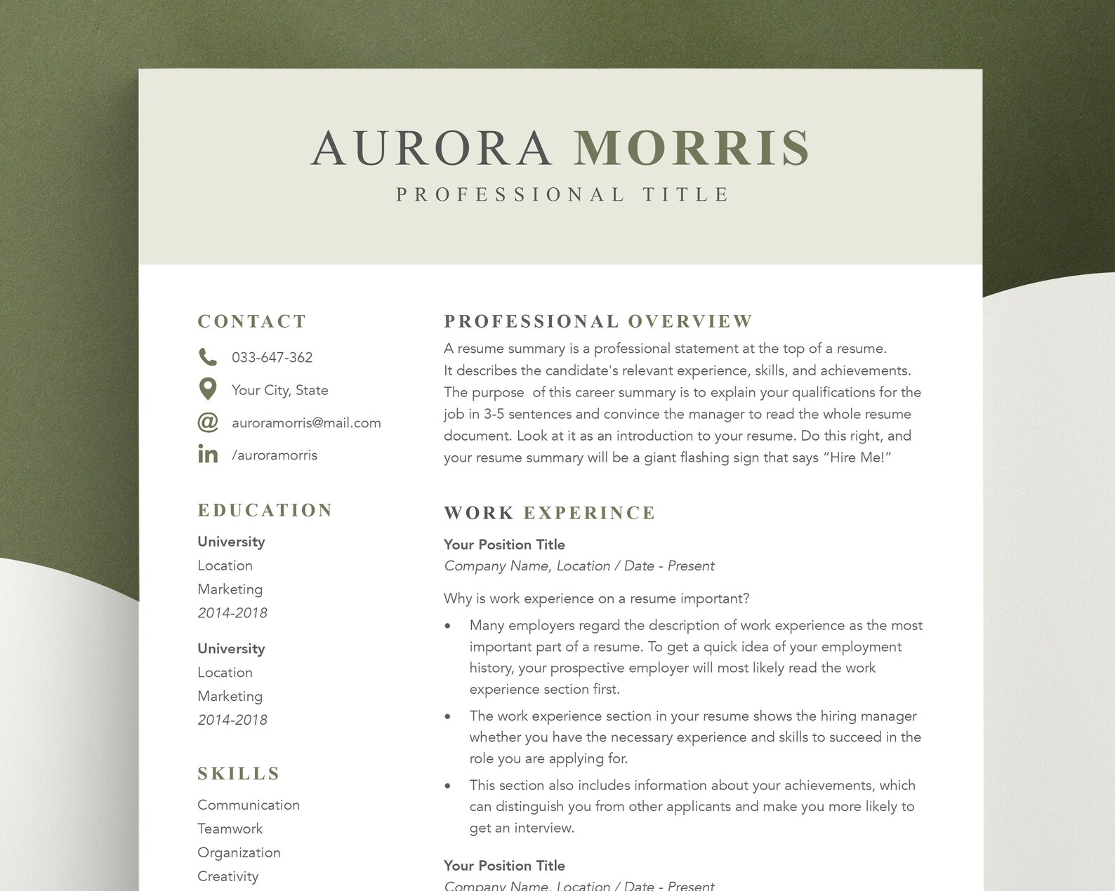 Modern Executive Resume Template Word, Resume Template Google Docs ...