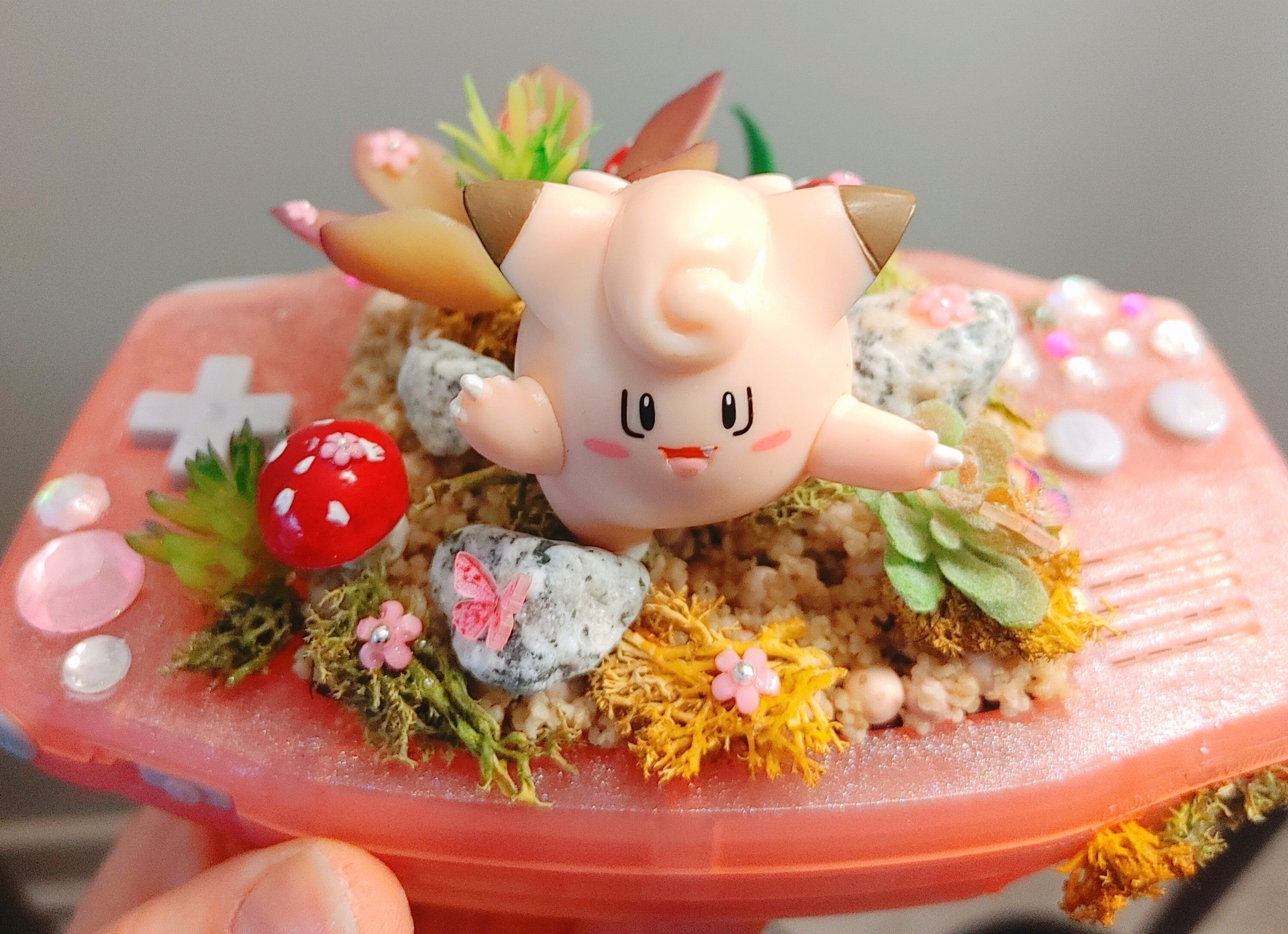 Custom Pokemon Terrarium Order - Etsy
