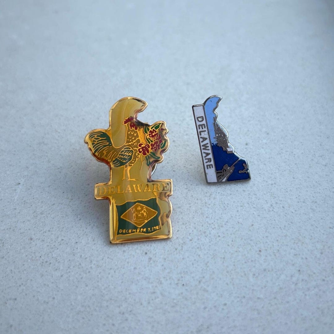 Vintage Delaware State Souvenir Enamel/lapel Pins - Etsy