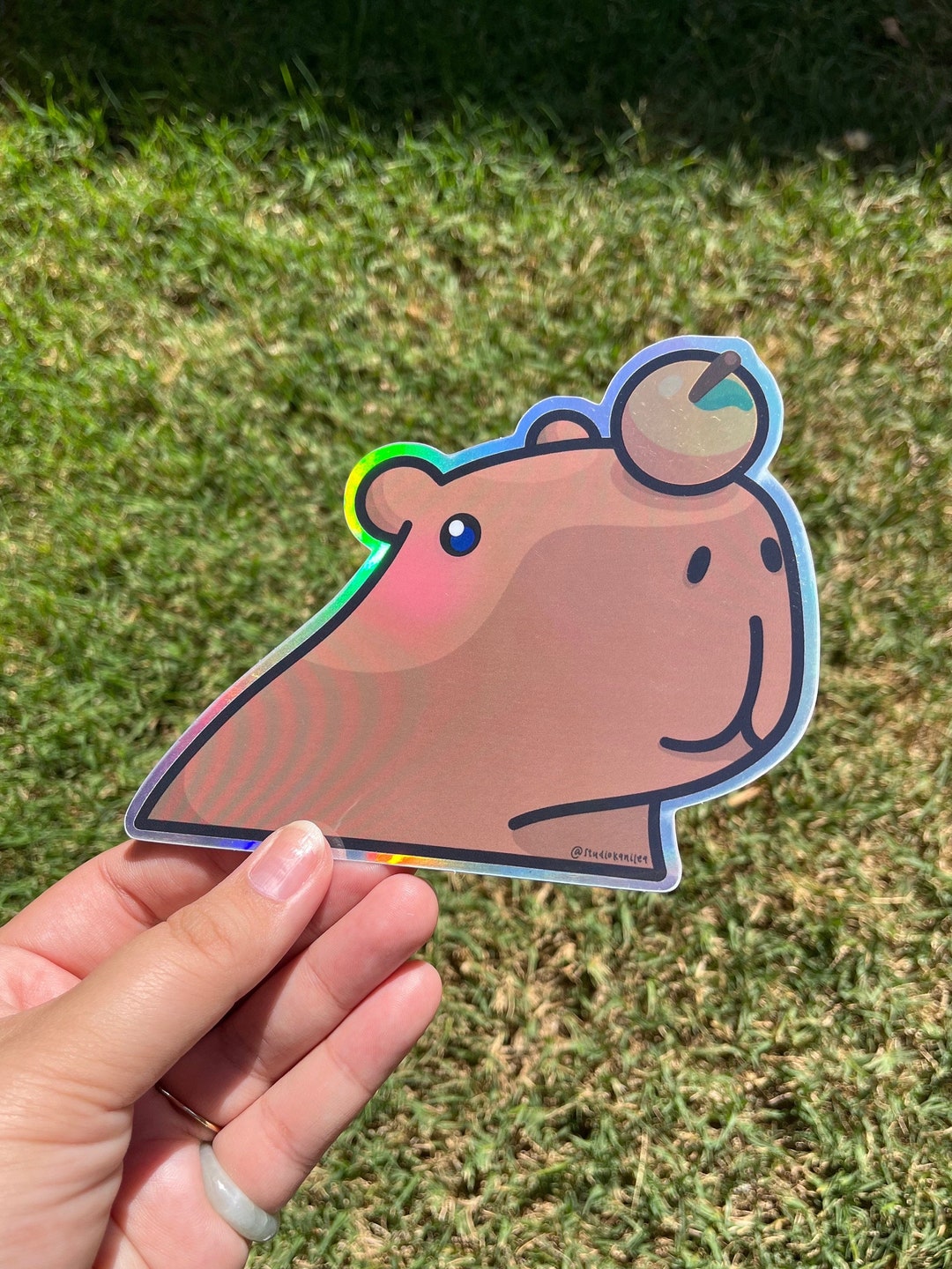 Holographic Car Peeker Sticker Capybara With Orange - Etsy