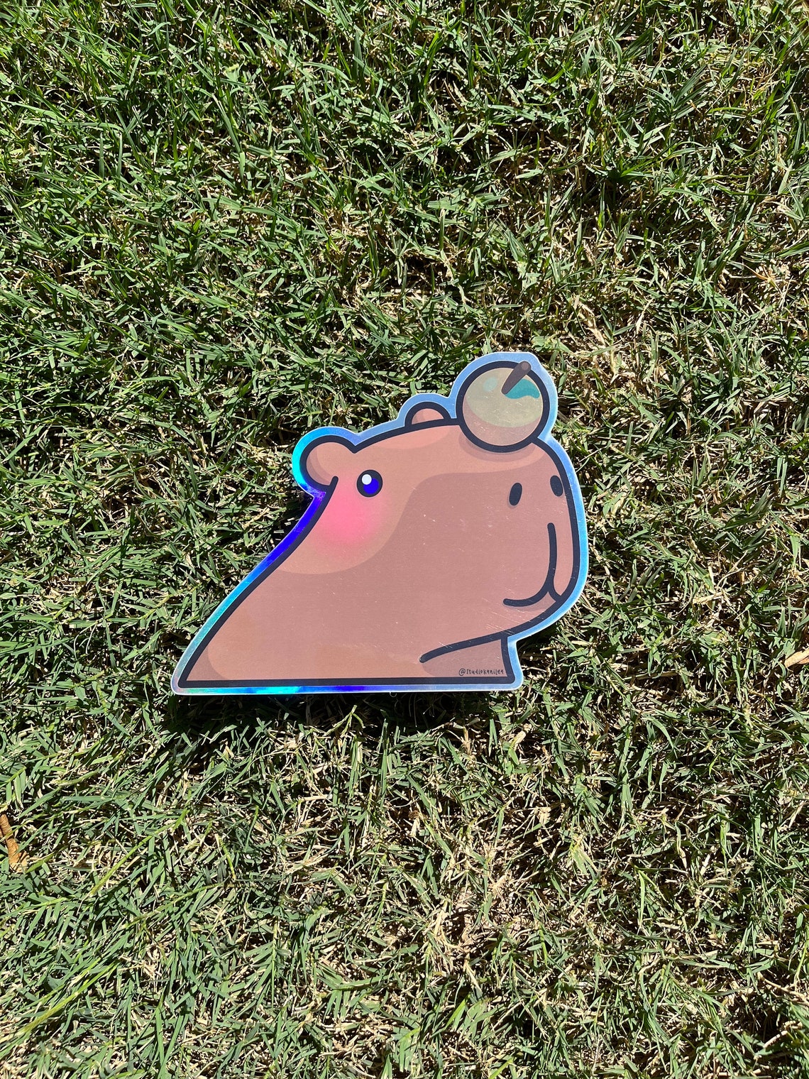 Holographic Car Peeker Sticker Capybara With Orange - Etsy