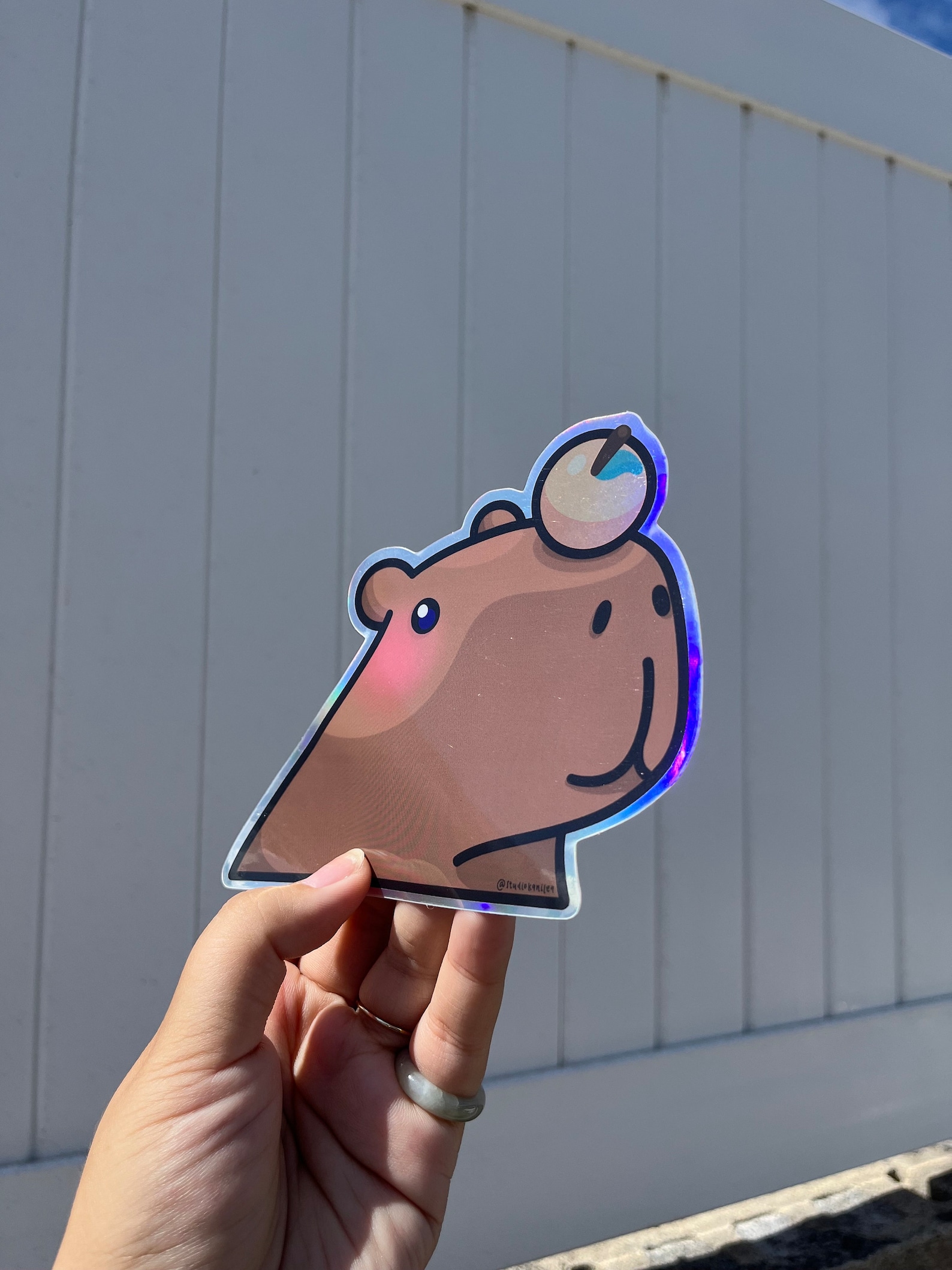 Holographic Car Peeker Sticker Capybara With Orange - Etsy
