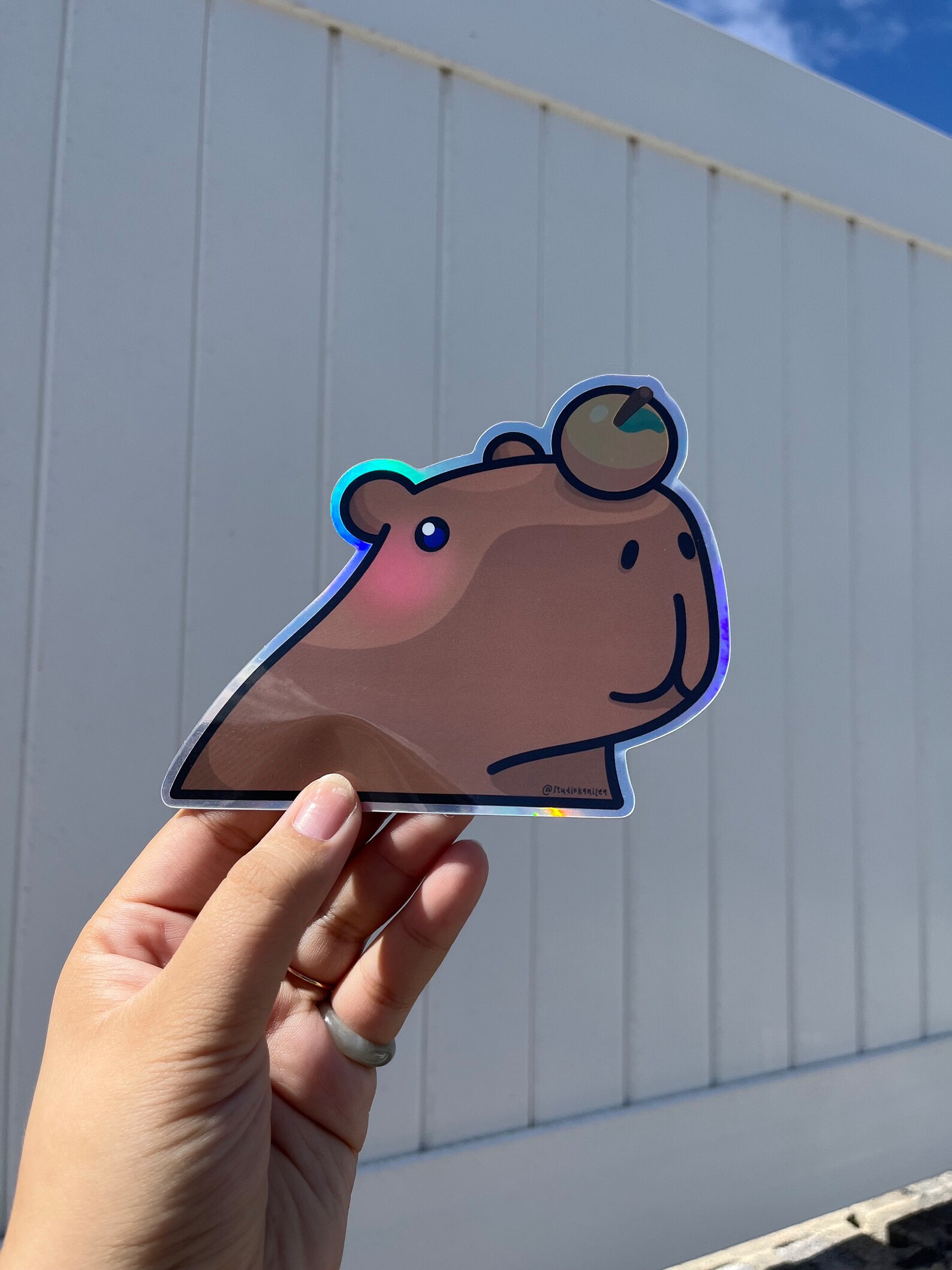 Holographic Car Peeker Sticker Capybara With Orange - Etsy