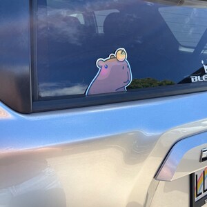 Holographic Car Peeker Sticker Capybara With Orange - Etsy