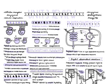 AP Biology Unit 6 Review Notes - Etsy