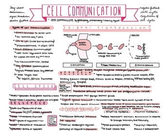 AP Biology Unit 5 Review Notes - Etsy