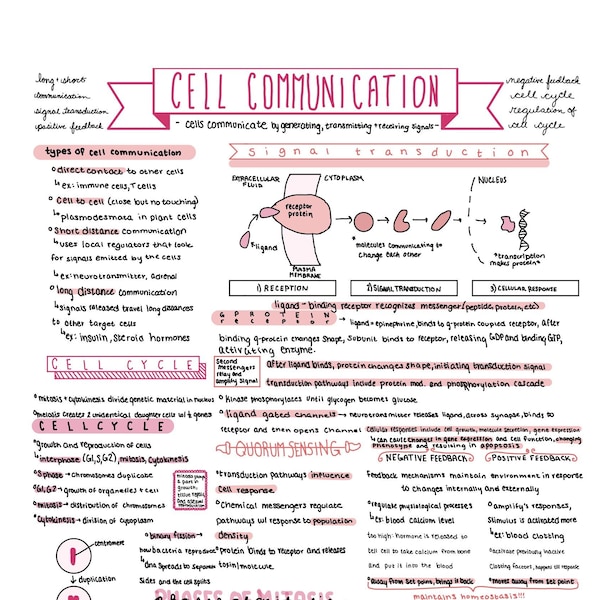 Biology Ap Notes - Etsy