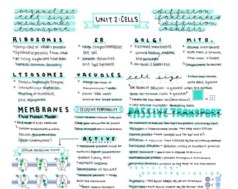 AP Biology Unit 1 Review Notes - Etsy