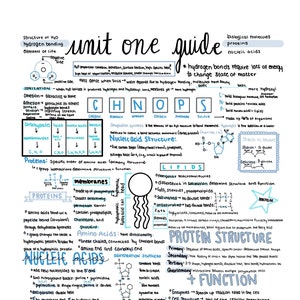 AP Biology Unit 1 Review Notes - Office & School Supplies - Etsy