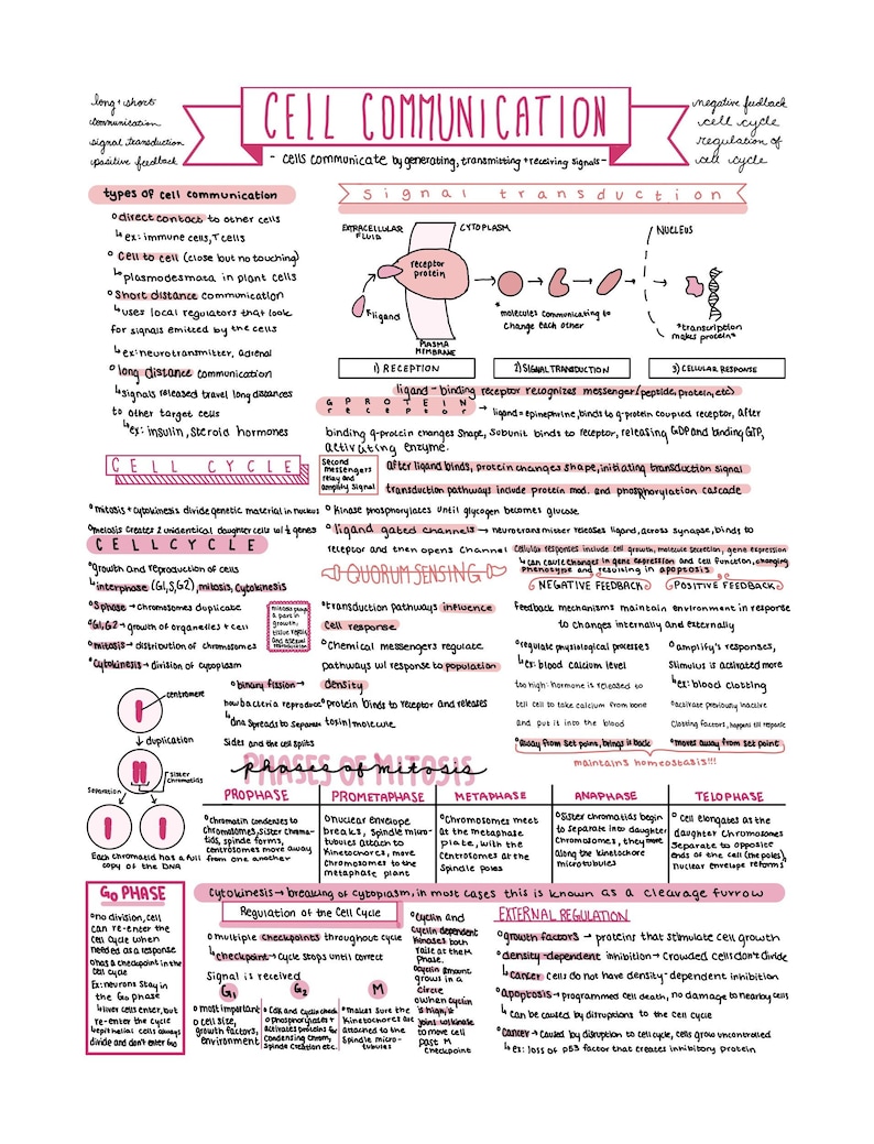 AP Biology Unit 4 Review Notes - Etsy AP Biology Unit 4 Review Notes - Etsy