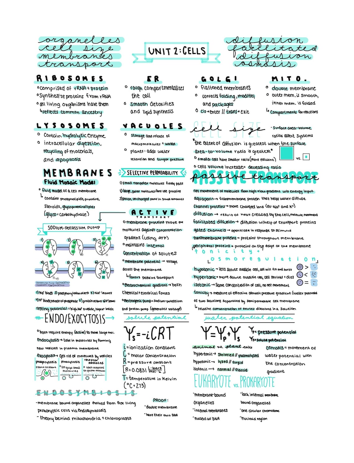 AP Biology Unit 2 Review Notes - Etsy
