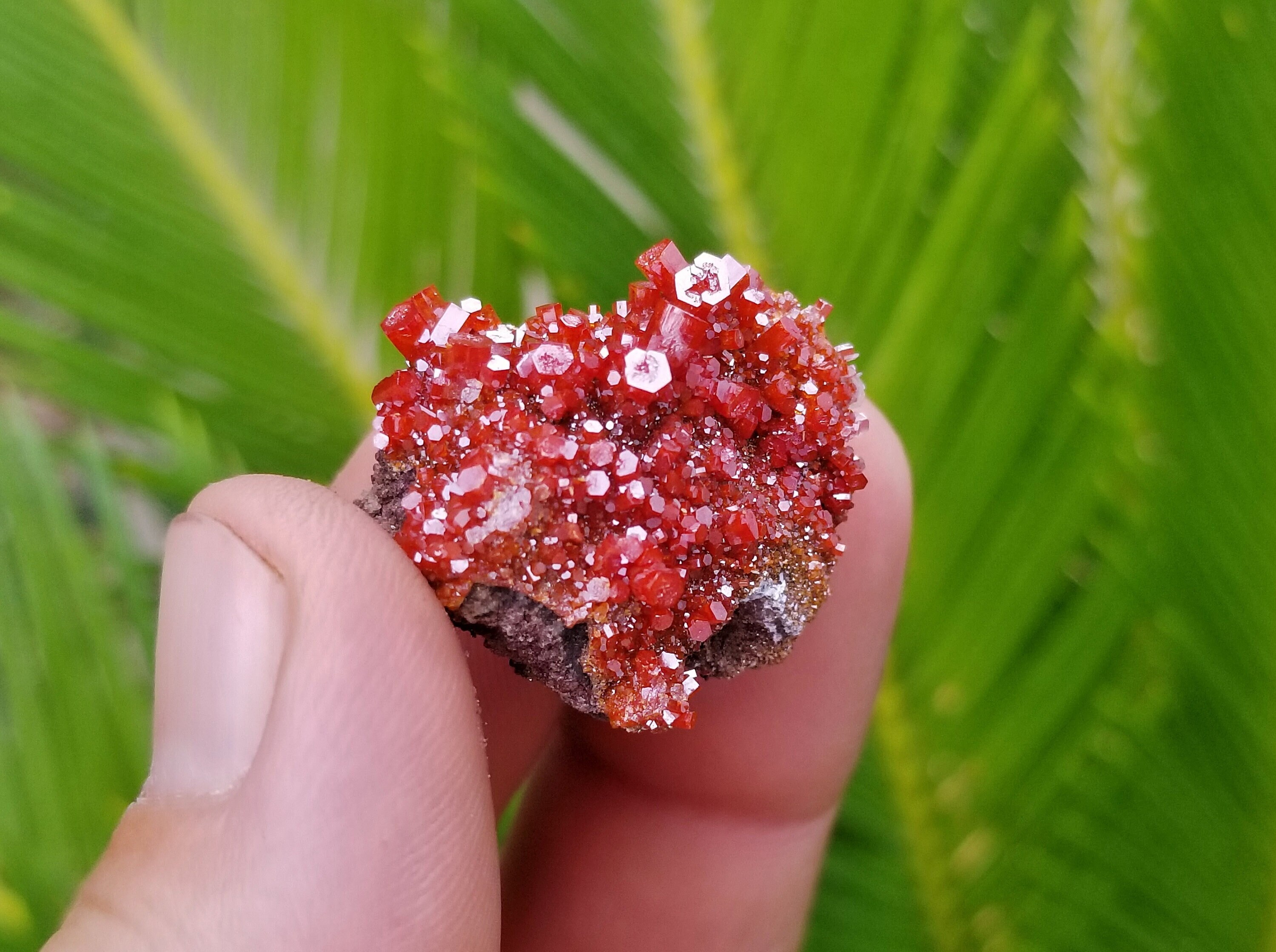 Gemmy Arizona Vanadinite - Etsy