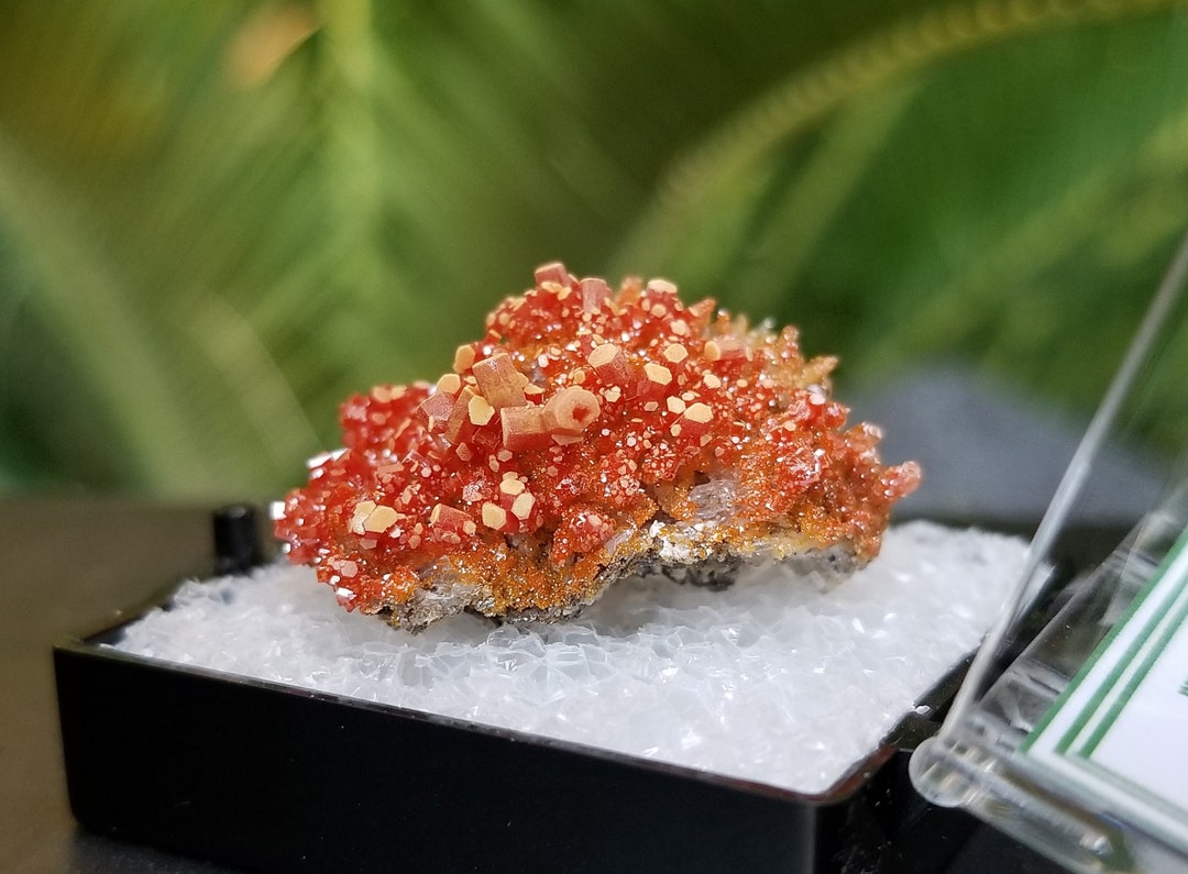 Unique Yellow Tipped Arizona Vanadinite on Quartz - Etsy