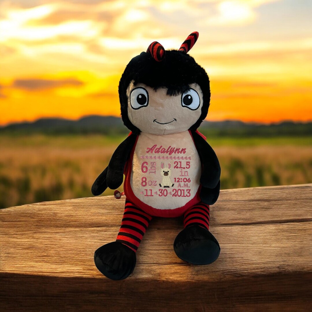 Ladybug Birth Announcement, Birth Announcement Newborn Baby Shower Gift ...