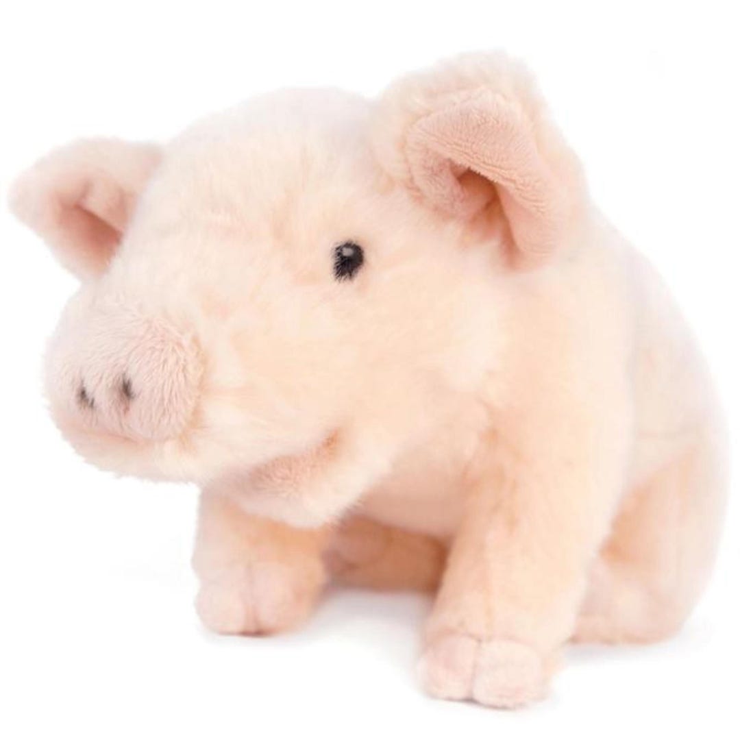 Cuddly Pig Plush Toy, Personalized With Name, Great Gift for Newborns ...