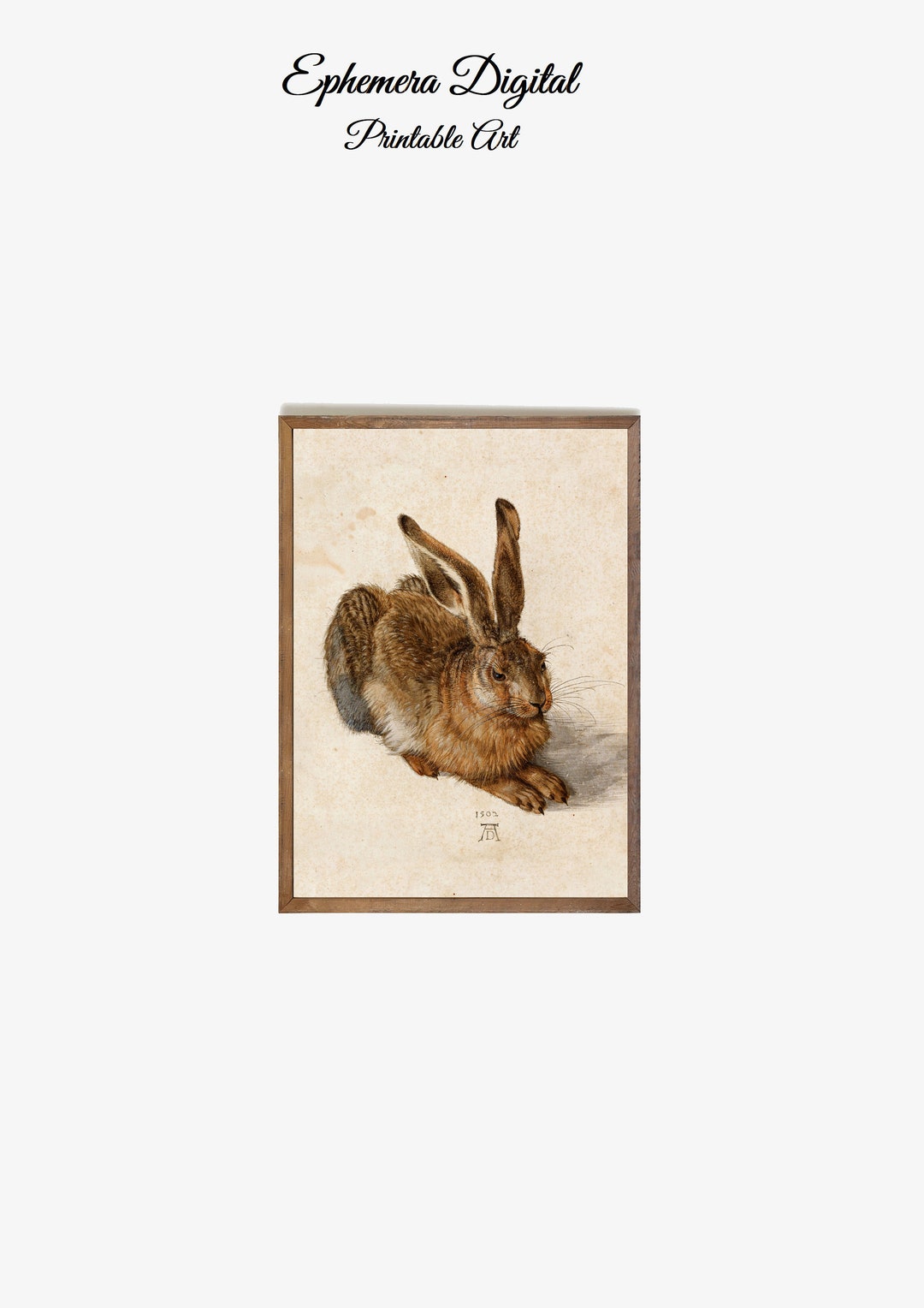 Printable Image Hare Albrecht Dürer 1502 9 Sizes From A2 to A6 300 Dpi ...