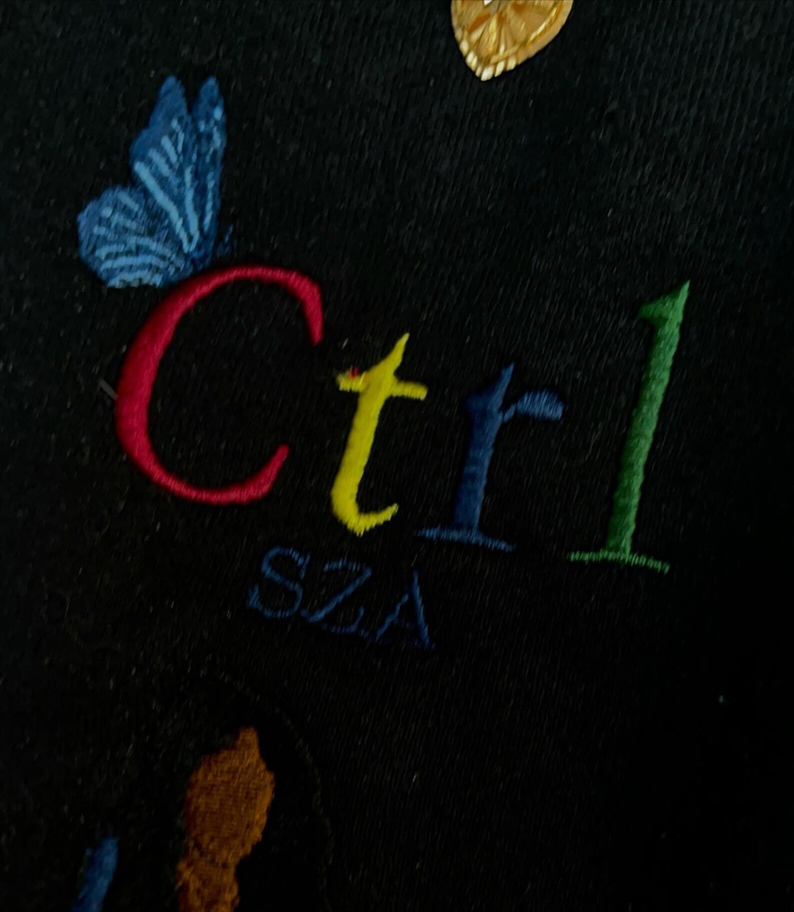 Sza Ctrl Embroidered Sweater, Sza Sweater, Sza Ctrl, Sza Gifts - Etsy