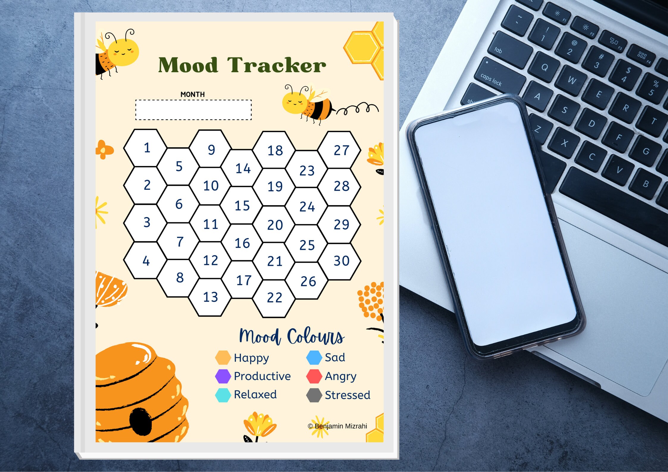 Printable Mood Tracker Pages for Planners and Journals, Health Wellness ...