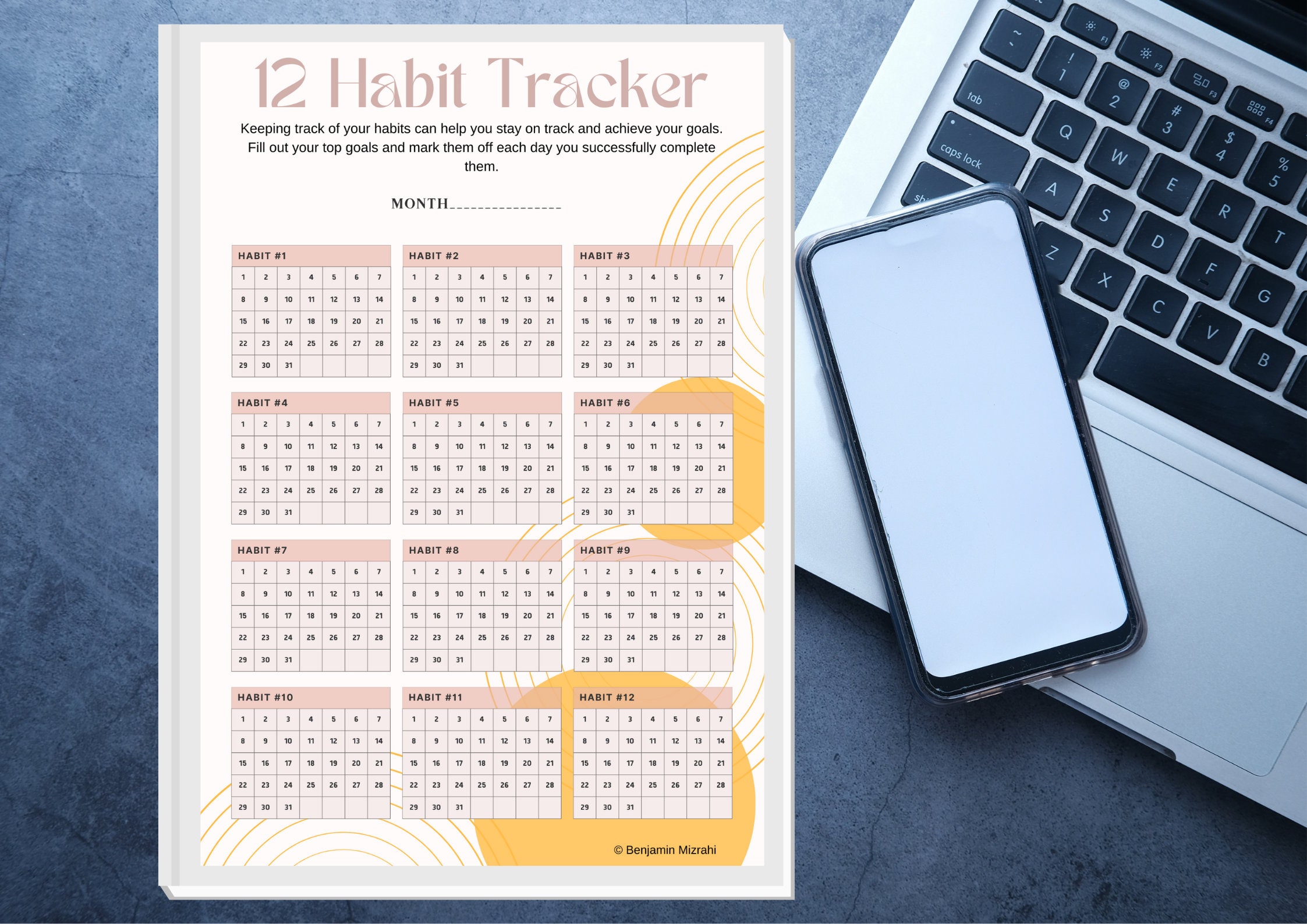 12 Month Habit Tracker Printable | Goal Planner (editable Canva Instant ...