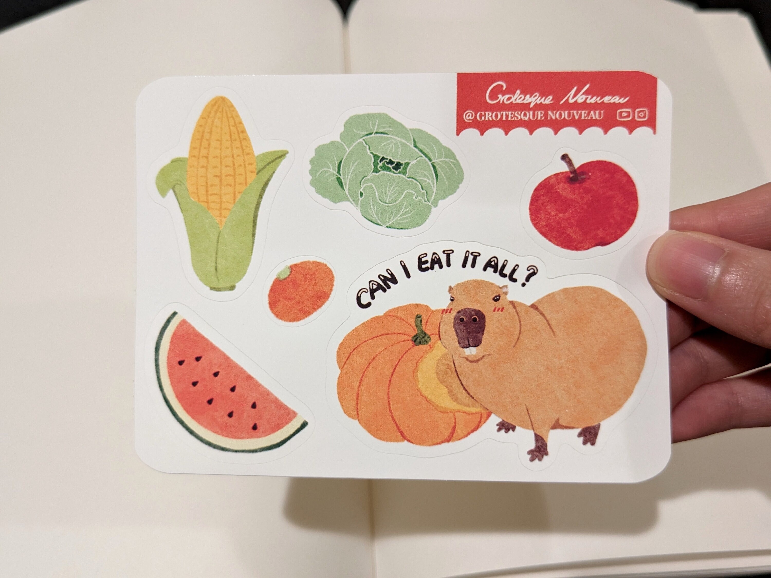 Capybara Sticker Sheet, Vinyl Laptop Sticker, Planner Stickers, Water ...