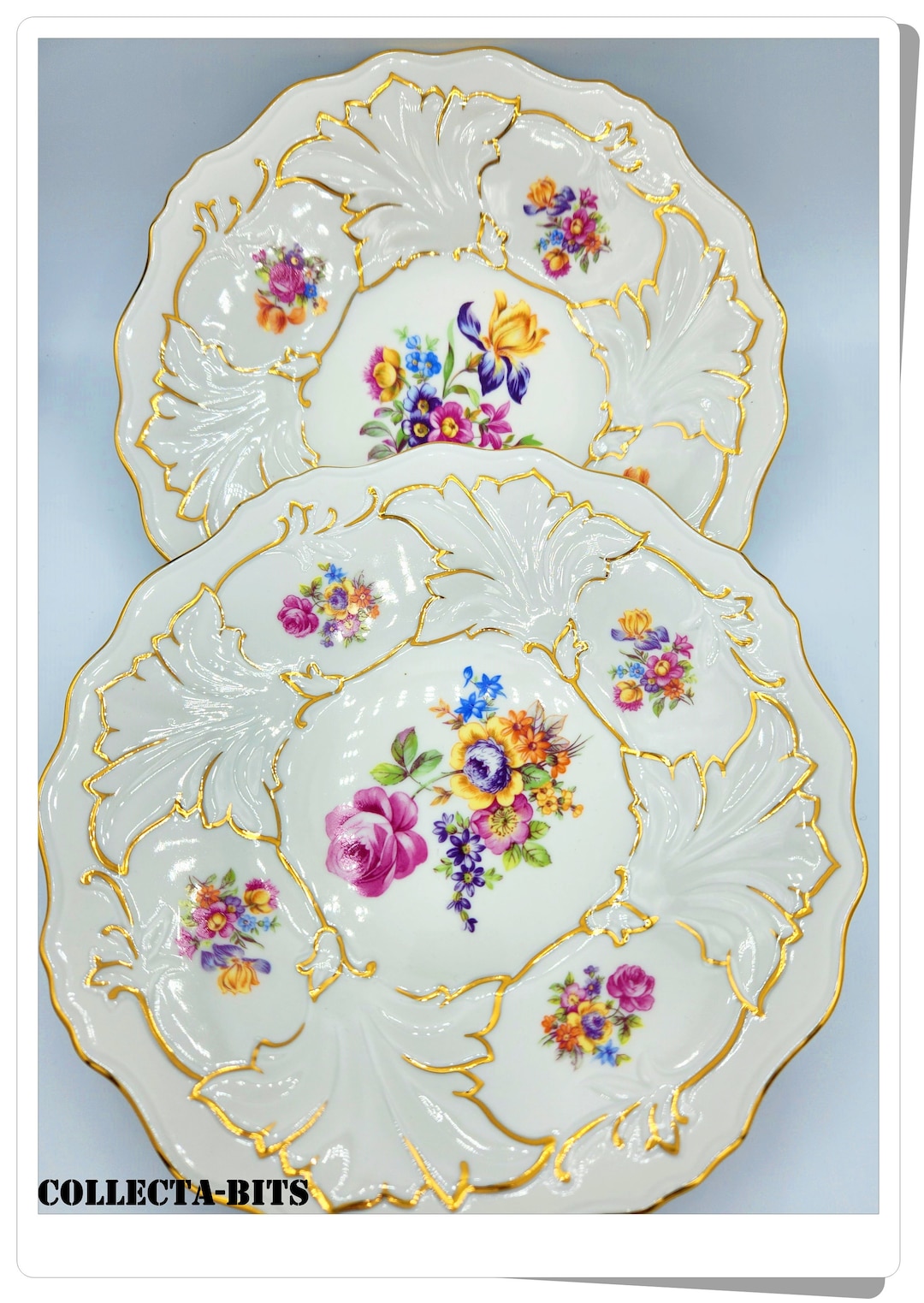 Set of 2 Weimar Germany Porcelain Serving Plates, Iris and Rose, #19 ...