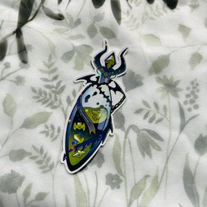 Twisted Wonderland TWST Riddle Leona Azul Kalim Vil Idia Malleus Dorm ...