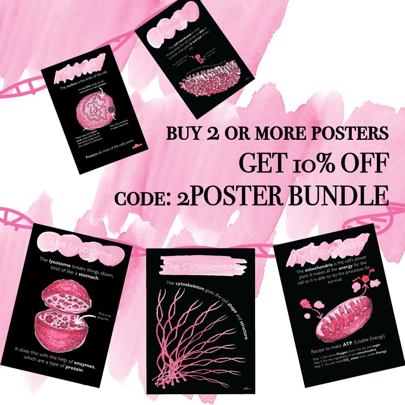 Mitochondria Biology Classroom Poster - Etsy