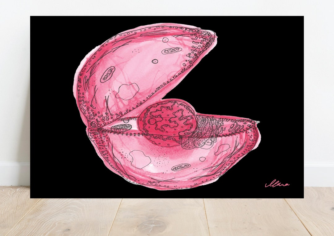 Large Size Cell Art Watercolor Print Biology Science Poster - Etsy