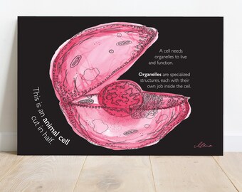 Animal Cell Diagram Poster A4 Labelled Cell Biology - Etsy