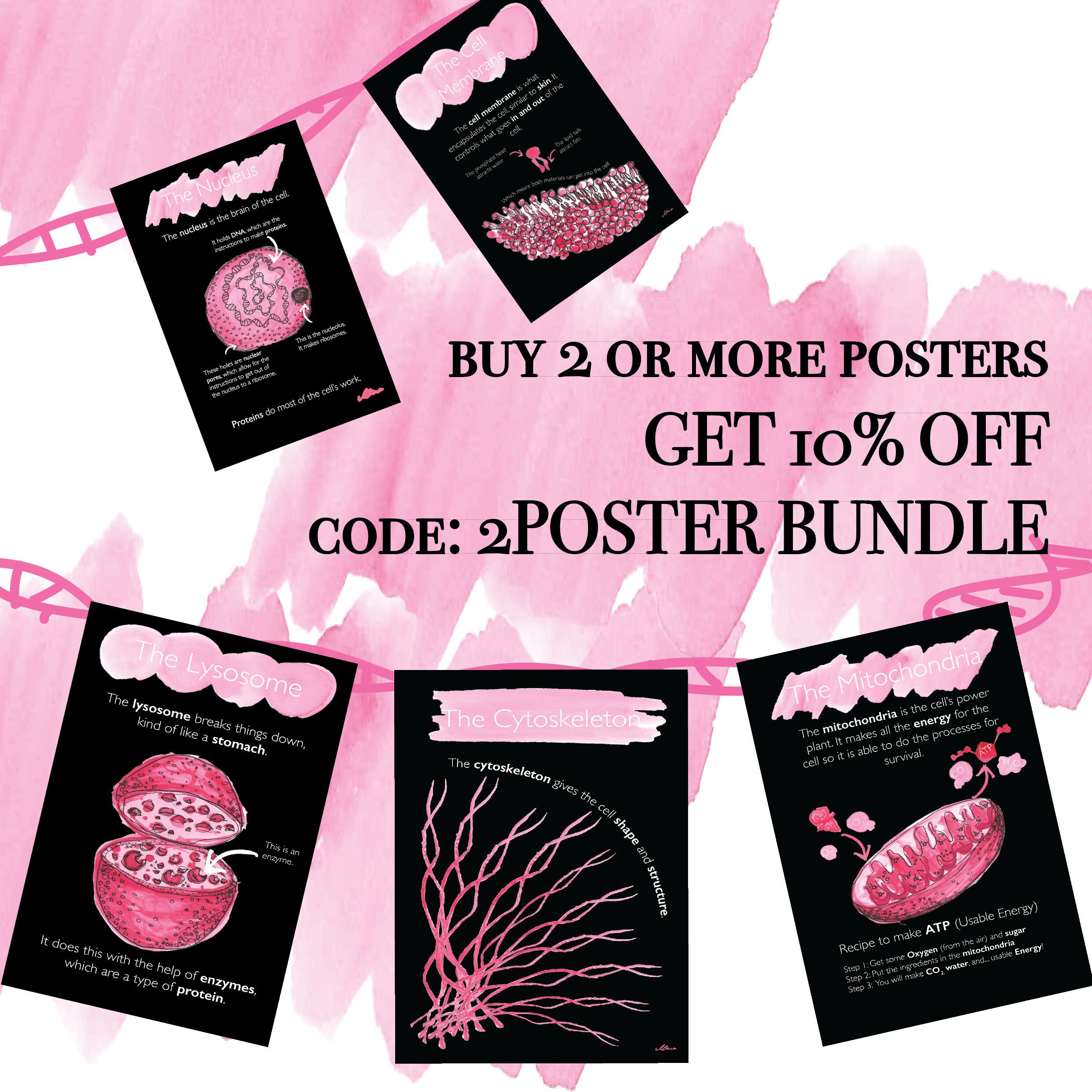 Cell Organelle Poster Vacuole - Etsy