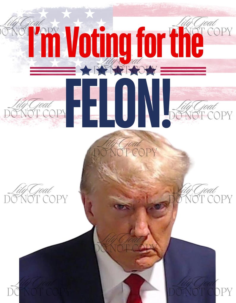 I'm Voting for the FELON PNG Digital DTF Ready to Print - Etsy